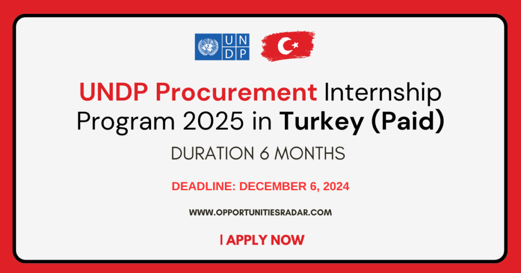 UNDP Procurement Internship 2025 in Turkey (Paid)