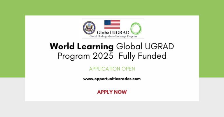 World Learning Global UGRAD Program 2025 | Fully Funded