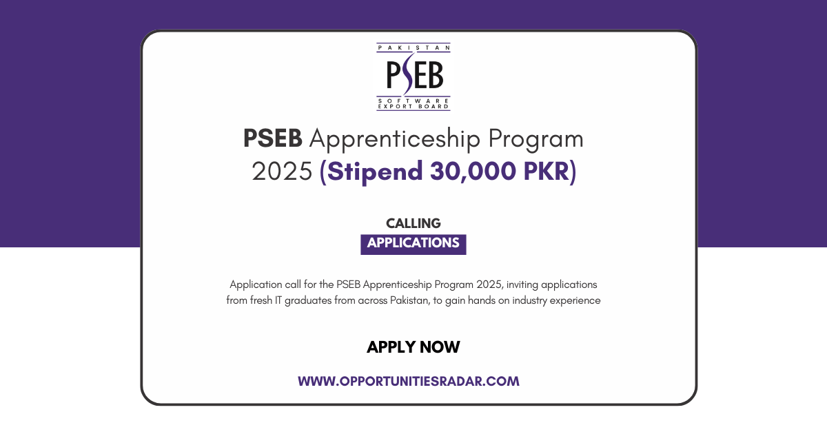 PSEB Apprenticeship Program 2025 (Stipend 30,000 PKR)